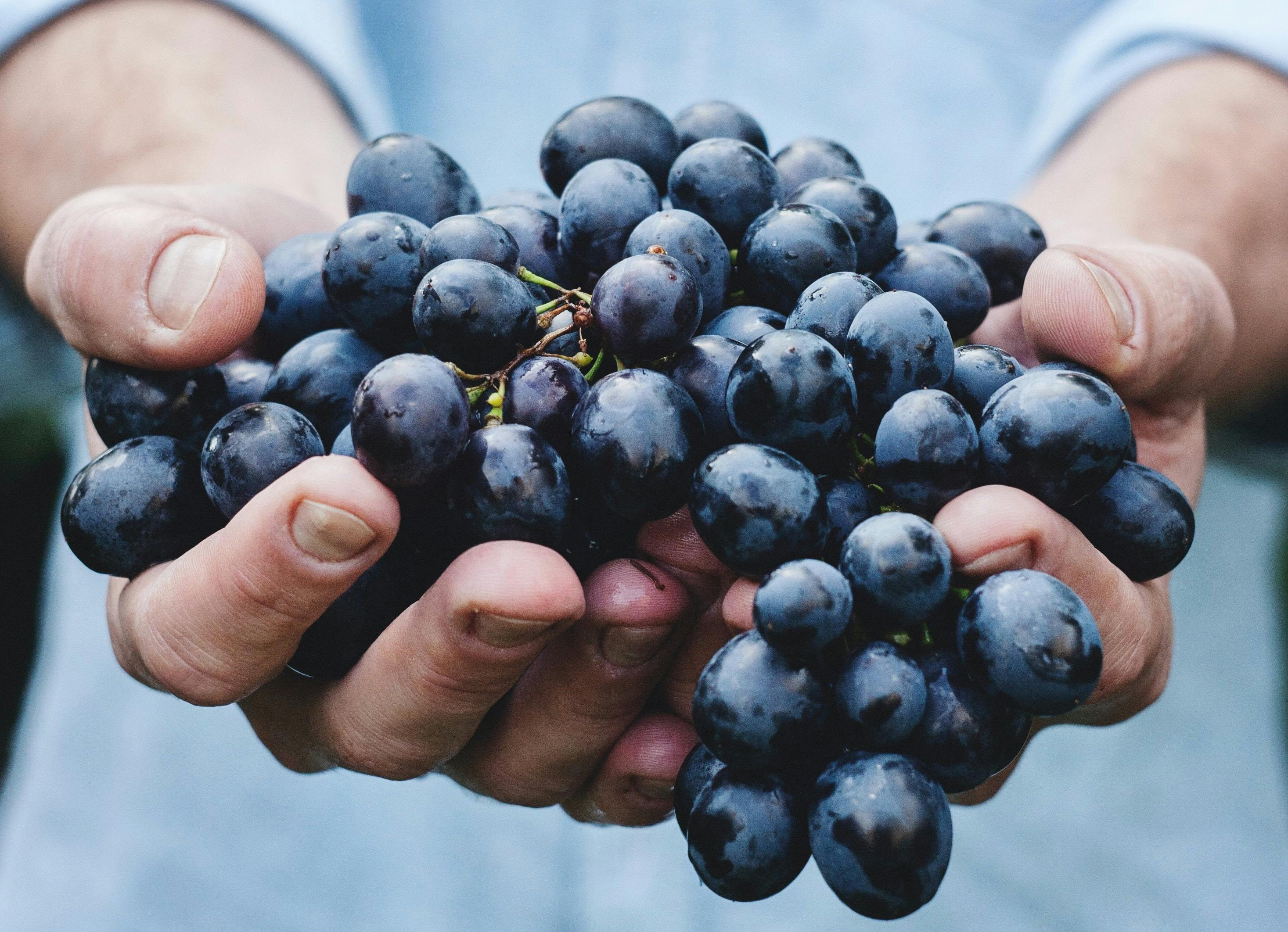 The Benefits of Going Organic